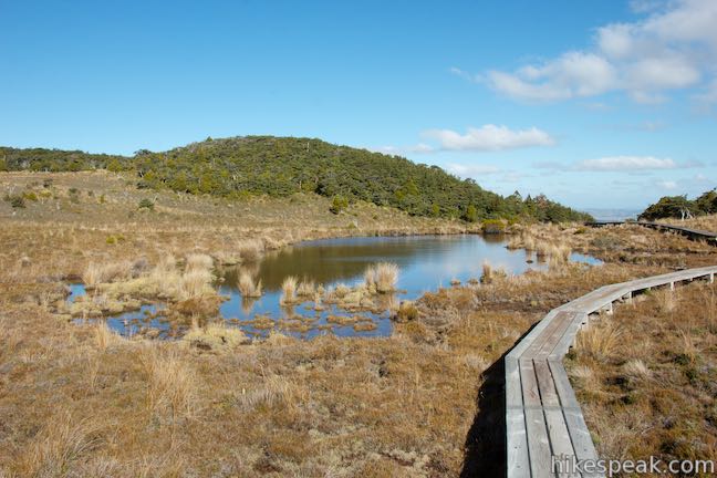 Waitonga Falls Track | New Zealand | Hikespeak.com