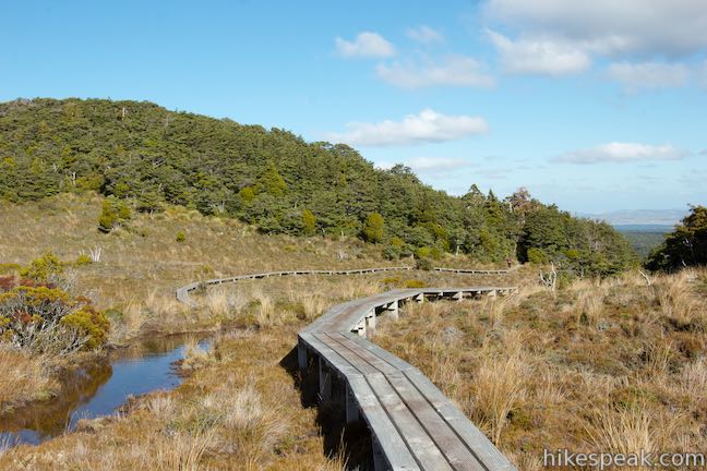 Waitonga Falls Track | New Zealand | Hikespeak.com
