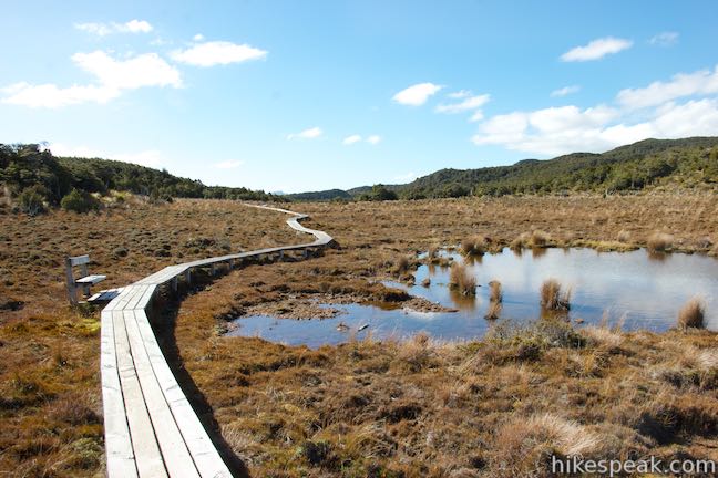 Waitonga Falls Track | New Zealand | Hikespeak.com