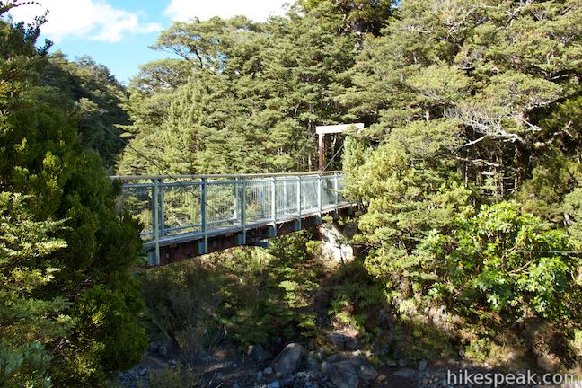 Waitonga Falls Track | New Zealand | Hikespeak.com
