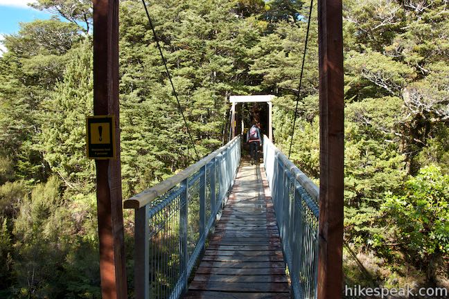 Waitonga Falls Track | New Zealand | Hikespeak.com