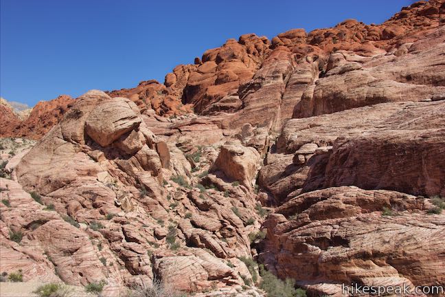 Calico Hills Trail | Red Rock Canyon | Hikespeak.com