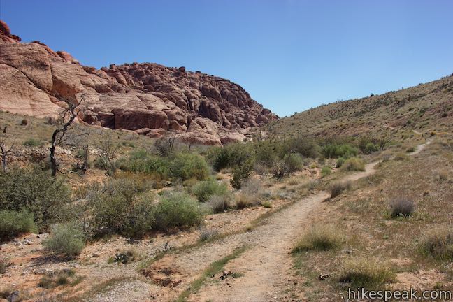 Calico Hills Trail | Red Rock Canyon | Hikespeak.com