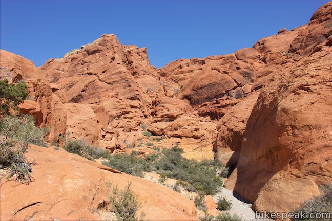 Calico Hills Trail | Red Rock Canyon | Hikespeak.com