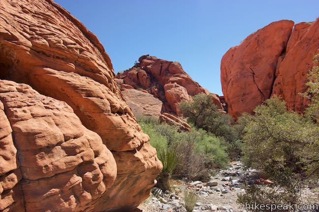 Calico Hills Trail | Red Rock Canyon | Hikespeak.com