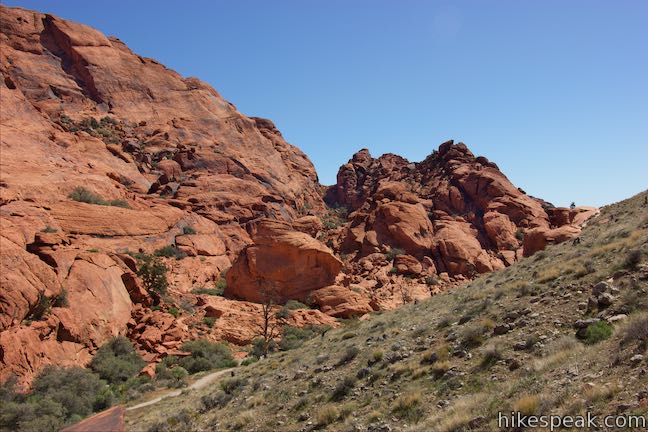 Calico Hills Trail | Red Rock Canyon | Hikespeak.com