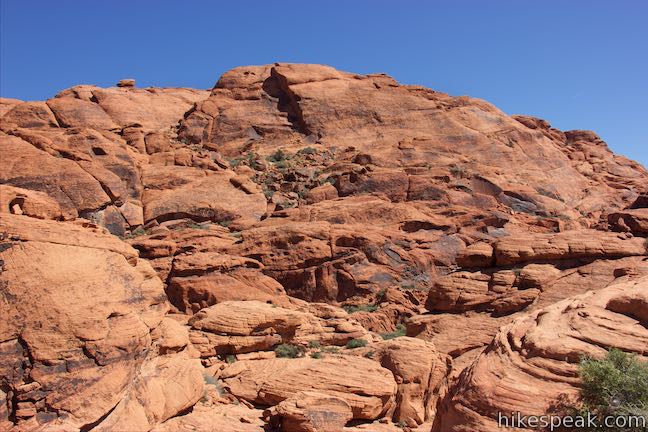 Calico Hills Trail | Red Rock Canyon | Hikespeak.com