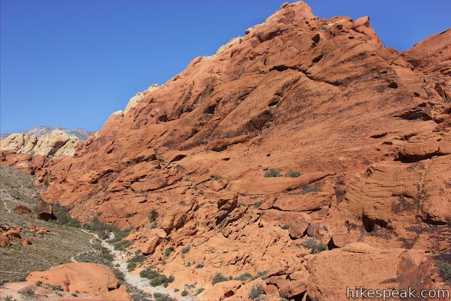 Calico Hills Trail | Red Rock Canyon | Hikespeak.com