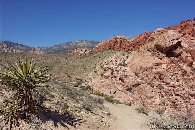 Calico Hills Trail | Red Rock Canyon | Hikespeak.com