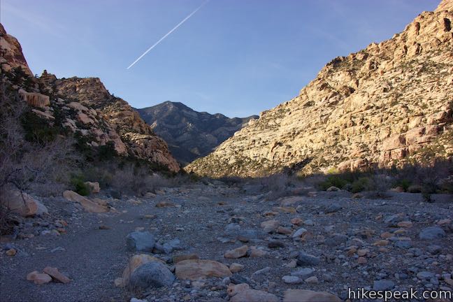Willow Springs Loop in Red Rock Canyon National Conservation Area