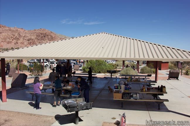 Red Spring Boardwalk in Red Rock Canyon National Conservation Area
