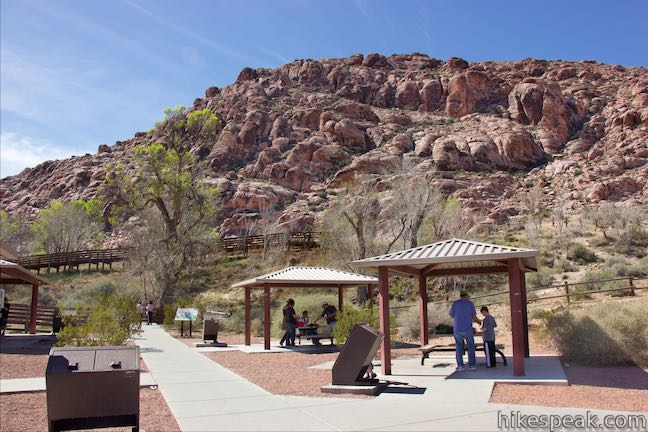 Red Spring Boardwalk in Red Rock Canyon National Conservation Area
