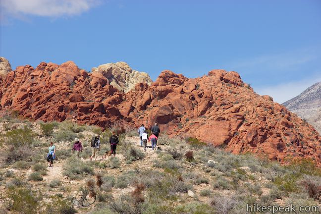 Red Spring Boardwalk in Red Rock Canyon National Conservation Area