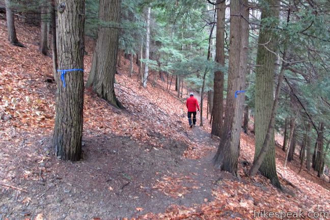 Tinker Falls Trail | Labrador Hollow Unique Area | New York | Hikespeak.com