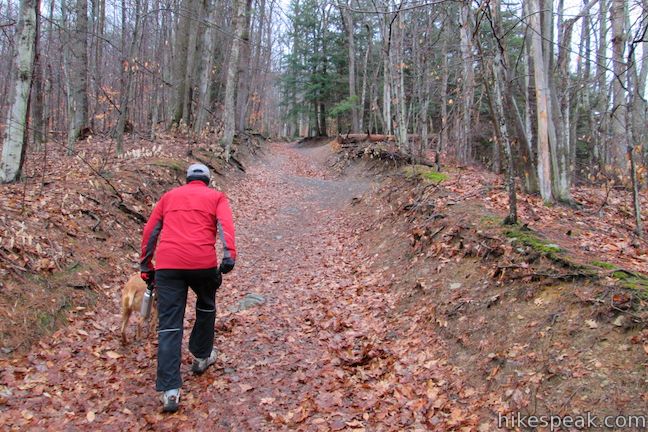 Tinker Falls | Labrador Hollow | New York | Hikespeak.com