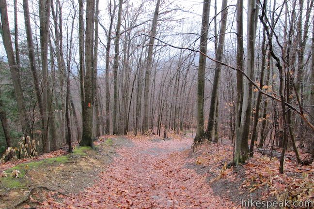 Hang Glider Launch Site | Labrador Hollow Unique Area | NY | Hikespeak.com