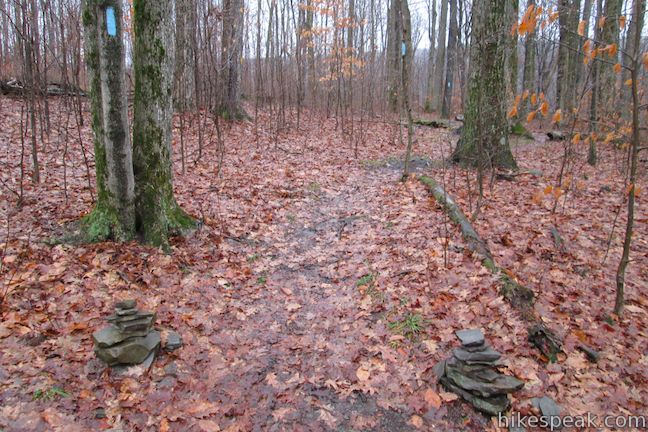 Hang Glider Launch Site | Labrador Hollow Unique Area | NY | Hikespeak.com