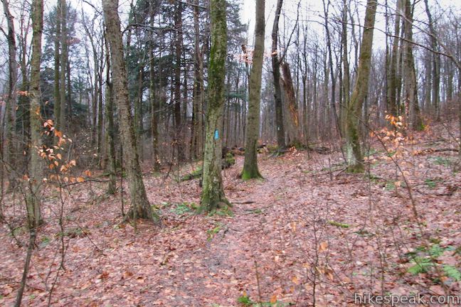Hang Glider Launch Site | Labrador Hollow Unique Area | NY | Hikespeak.com