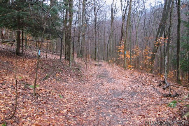 Hang Glider Launch Site | Labrador Hollow Unique Area | NY | Hikespeak.com