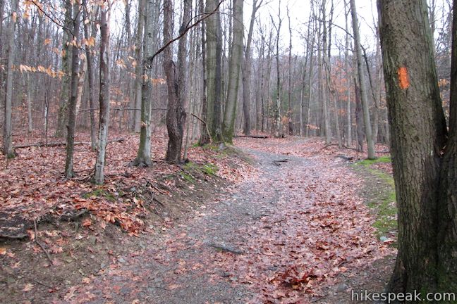 Tinker Falls | Labrador Hollow | New York | Hikespeak.com