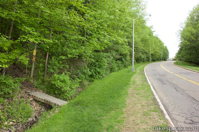 Forest Loop Trail in Binghamton University Nature Preserve