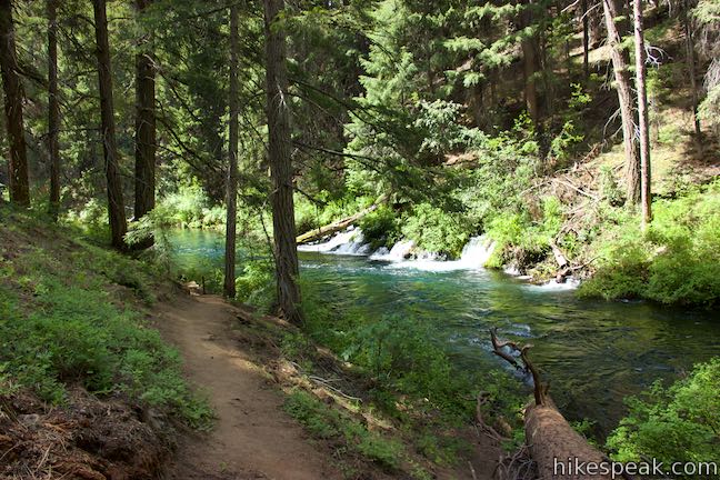 West Metolius River Trail | Oregon | Hikespeak.com