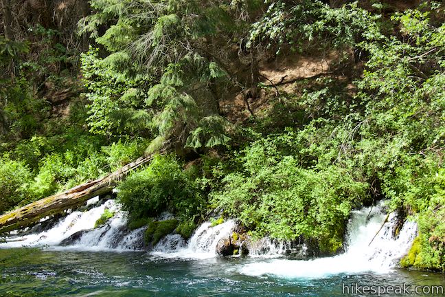 West Metolius River Trail | Oregon | Hikespeak.com