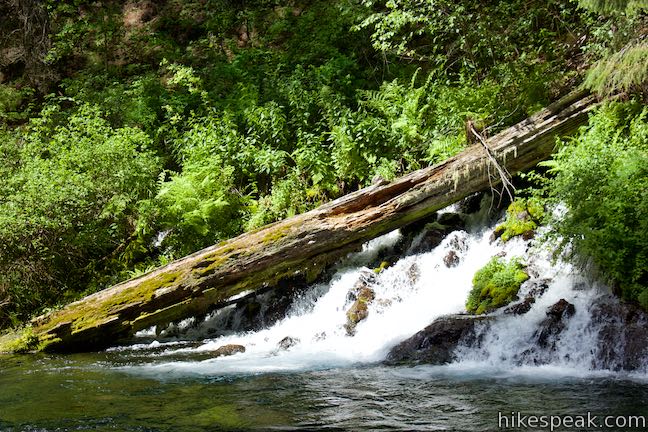 West Metolius River Trail | Oregon | Hikespeak.com