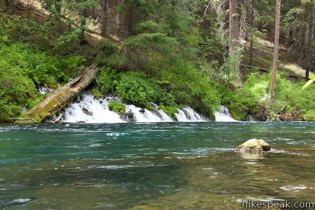 West Metolius River Trail | Oregon | Hikespeak.com