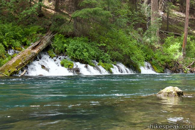 West Metolius River Trail in Deschutes National Forest