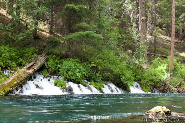 West Metolius River Trail in Deschutes National Forest