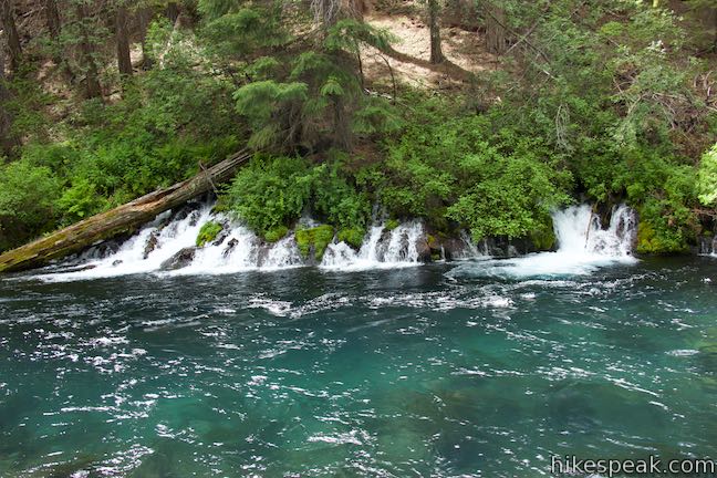 West Metolius River Trail in Deschutes National Forest