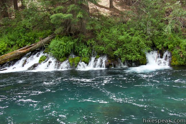 West Metolius River Trail | Oregon | Hikespeak.com