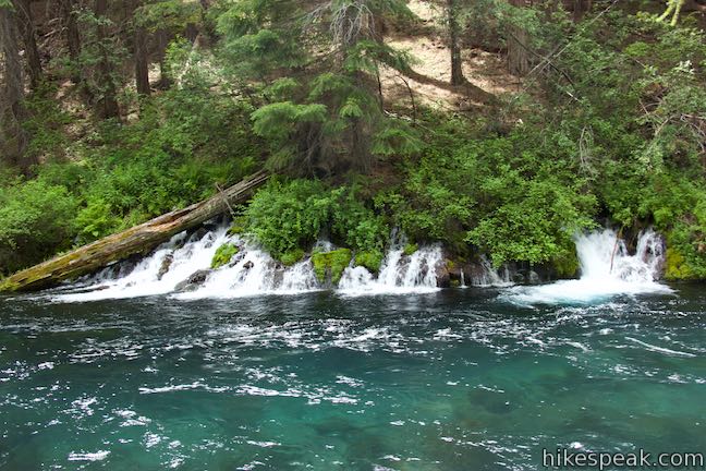 West Metolius River Trail | Oregon | Hikespeak.com