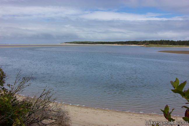 Whalen Island Loop Trail | Oregon | Hikespeak.com