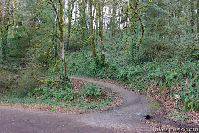 Wild Cherry & Dogwood Trails Loop | Forest Park | Hikespeak.com