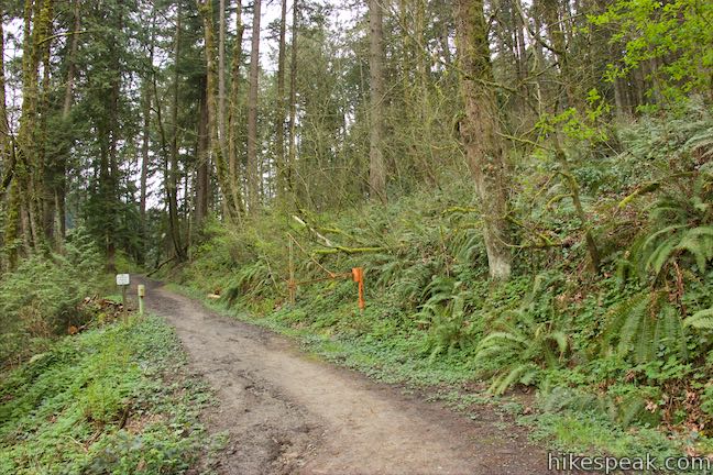 Lower Macleay Trail to Stone House | Forest Park | Hikespeak.com