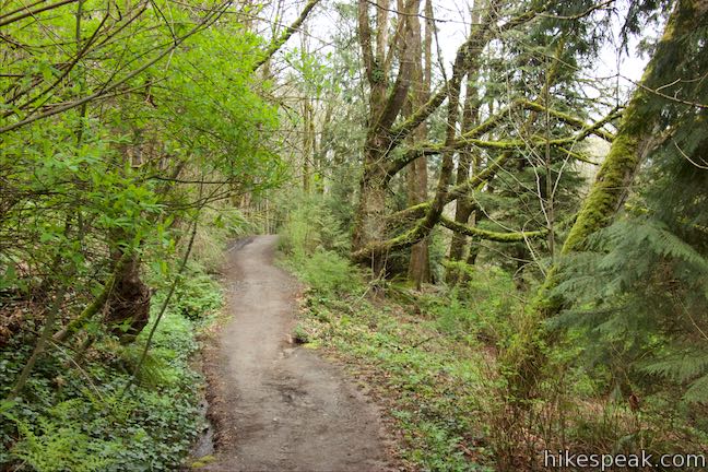 Lower Macleay Trail to Stone House | Forest Park | Hikespeak