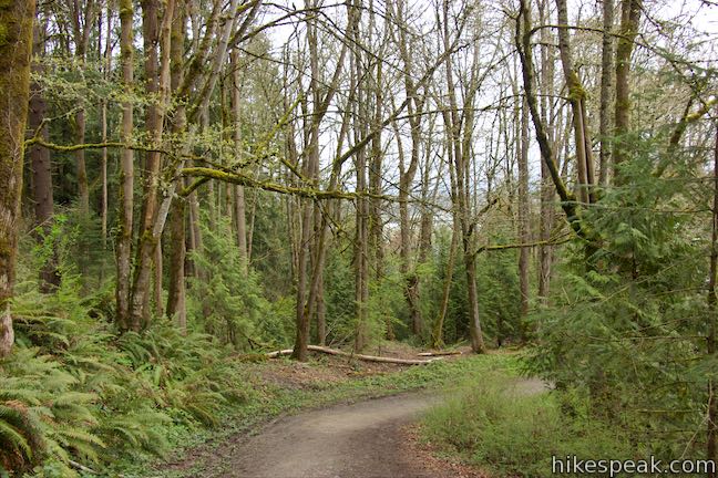 Lower Macleay Trail to Stone House | Forest Park | Hikespeak.com