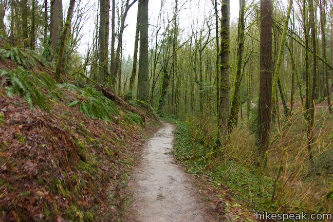 Holman - Wildwood - Birch Loop | Forest Park | Hikespeak.com