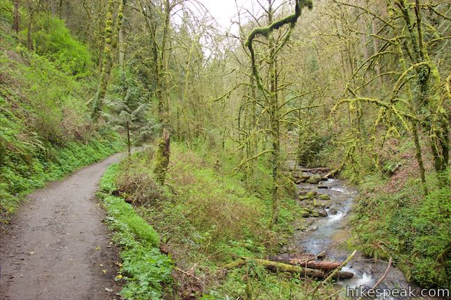 Lower Macleay Trail to Stone House | Forest Park | Hikespeak.com