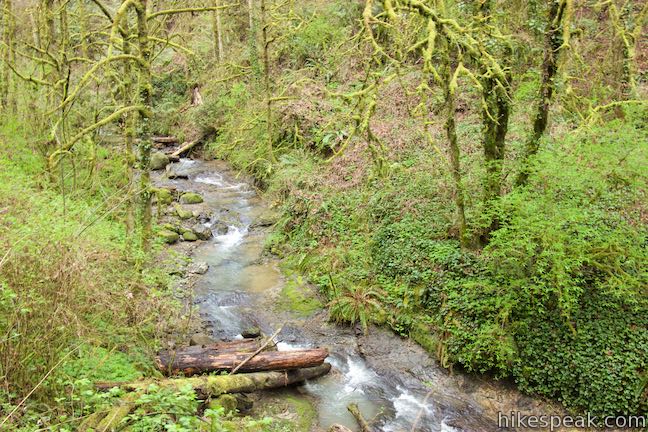 Lower Macleay Trail to Stone House (Witch’s Castle) in Forest Park ...