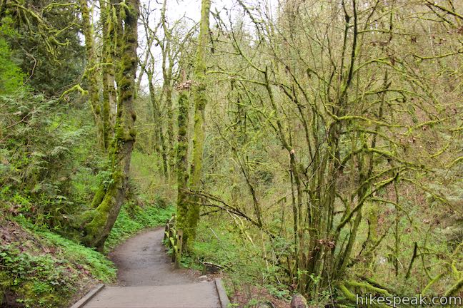Lower Macleay Trail to Stone House (Witch’s Castle) in Forest Park ...