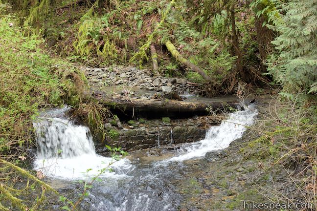 Lower Macleay Trail to Stone House (Witch’s Castle) in Forest Park ...