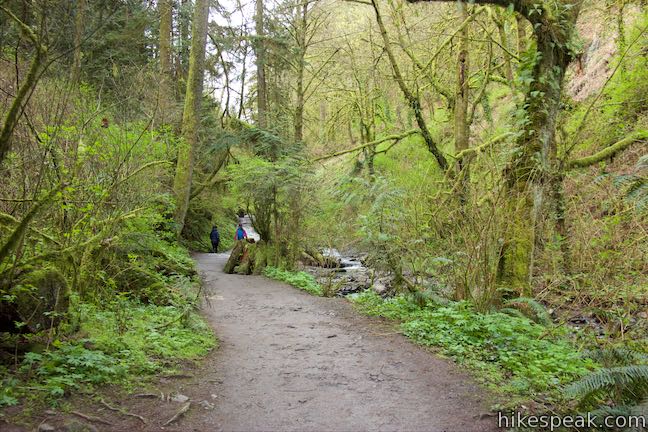 Lower Macleay Trail to Stone House (Witch’s Castle) in Forest Park ...