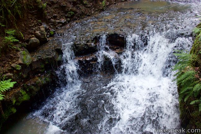 Lower Macleay Trail to Stone House (Witch’s Castle) in Forest Park ...