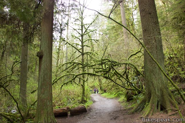 Lower Macleay Trail to Stone House (Witch’s Castle) in Forest Park ...