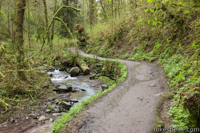 Lower Macleay Trail to Stone House | Forest Park | Hikespeak.com