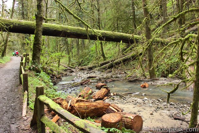 Lower Macleay Trail to Stone House (Witch’s Castle) in Forest Park ...