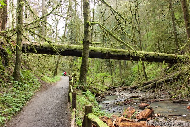 Lower Macleay Trail to Stone House (Witch’s Castle) in Forest Park ...